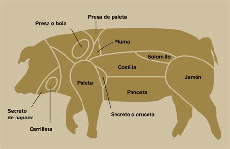 Carne De Cerdo Razas Despiece Y Usos