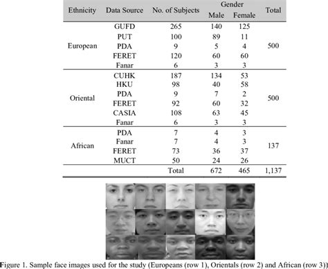 Sampling Details Of Face Images From Different Database Sources For