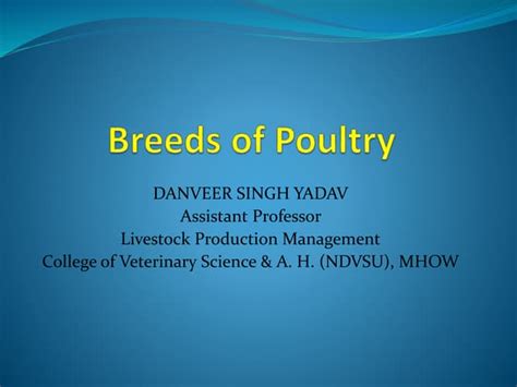 Breeds Of Poultry Breeds And Classification Pdf