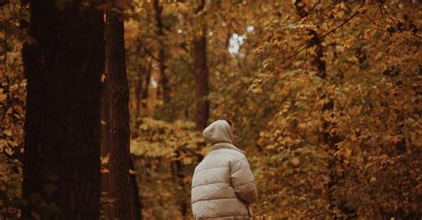 가을 가을 색 가을 장면 걷고 있는 경치 경치가 좋은 계절 계절의 변화 고독 고요한 길 나무 나뭇잎 단풍 도보 여행자 뒤에서 뒷모습 떨어지다