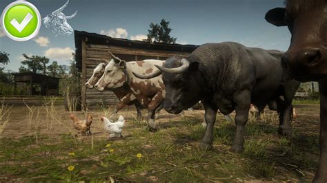 Wrong Angus Bull Fix V1 0 Allmods Net