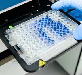 Leadvent Group Extractables And Leachables Risk Based Approach Computational Models In Vitro