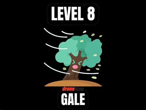 Understanding Drone Wind Resistance Levels Explained Droneblog