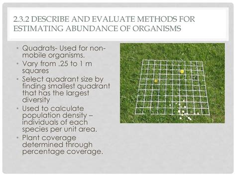 Describe How A Quadrat Is Used