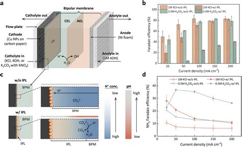 Impact Of Local Microenvironments On The Selectivity Of