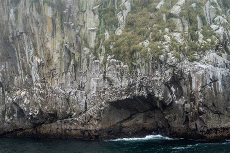 在阿拉斯加KenaiFjords公园的Chiswel高清图片下载 正版图片505693834 摄图网