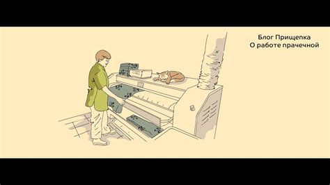 Александр Шоломов про химчистки и прачечные в России Эфир от 12 01 2024 Youtube