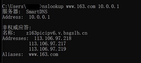 使用新版不会用了怎么设置国内网站返回都是多个ip · Issue 1122 · Pymumusmartdns · Github