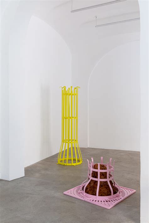 Morphogenetic Cage Wanderart