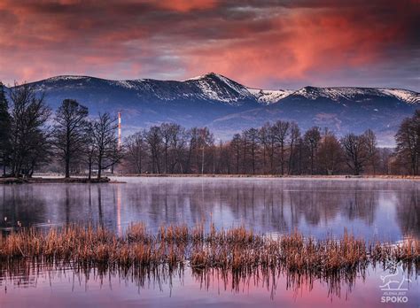 ŚnieŻka Moczary Spoko Plakat Jelenia Jest Spoko