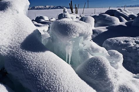 Premium Photo Ice Ice Cubes Snow Cold Nature