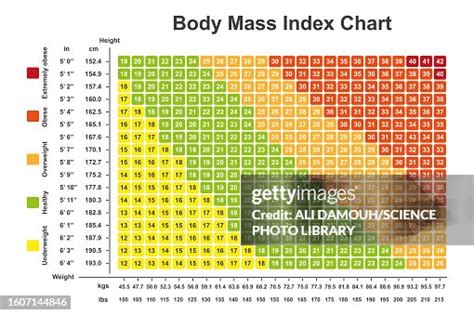 Body Mass Index Chart Illustration High Res Vector Graphic Getty Images