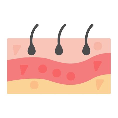 Premium Vector Epidermis Vector Illustration