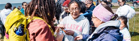 Participate In The Knowledge Mobilization Ideas Challenge Sentinel North