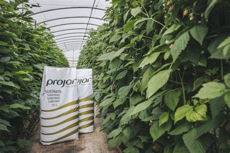 Projar En Fruit Attraction 2021 Actualidad Tecnología Hortícola