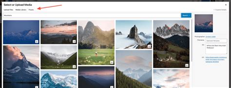 Kadence Blocks Pexels Integration Kadence WP Documentation