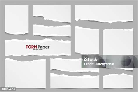 흰색 찢어진 종이 스트립 컬렉션 찢어진 가장자리가있는 현실적인 종이 스크랩 스티커 노트 노트북 페이지의 조각 벡터 일러스트레이션