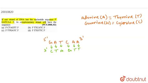 Write The Complementary Sequence For The Following Dna Sequence, In Order From 3 To 5: