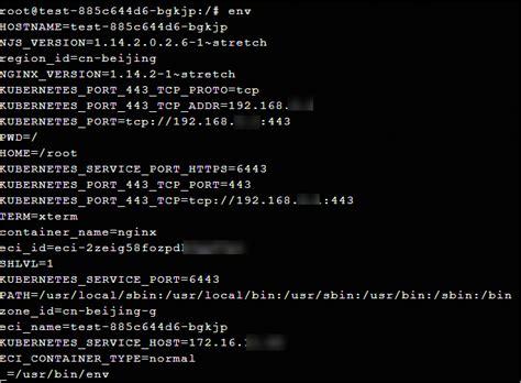 Obtain The Metadata From A Container Elastic Container Instance