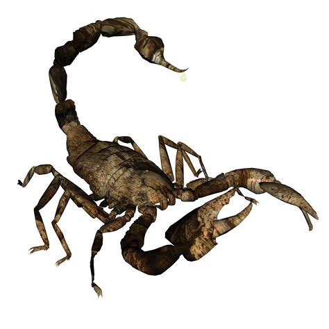 Scorpion Aug 17B By Markopolio Stock On DeviantArt