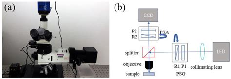 Schematic Of The Collinear Reflection Mueller Matrix Microscope Download Scientific Diagram