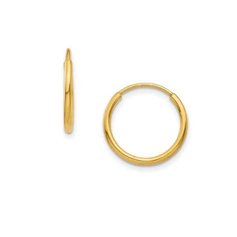 14k Gold Polished Endless Hoop Earrings 14mm The Jewelry Vine
