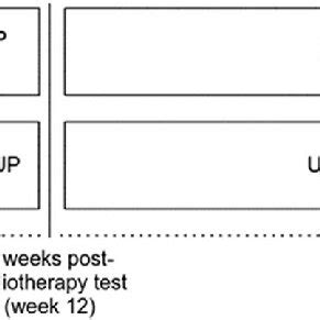 Schematic Of The Research Project Design The Serial Assessment Of CRF Download Scientific