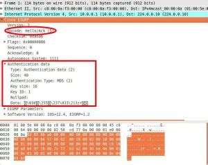 Demystifying EIGRP Message Types With Wireshark Jesin S Blog