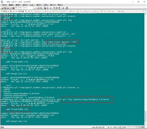 2022 01 06 Repo Sync同步后，repo Branch和所有仓库执行git Branch 都显示no Branches，先