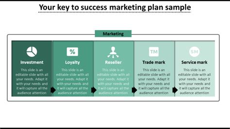 What Are The 4 Types Of Marketing Strategies