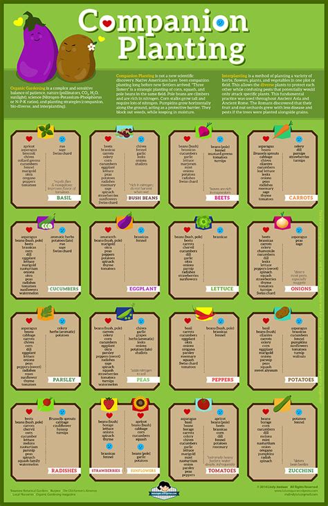 Garden Layout Free Printable Printable Companion Planting Chart