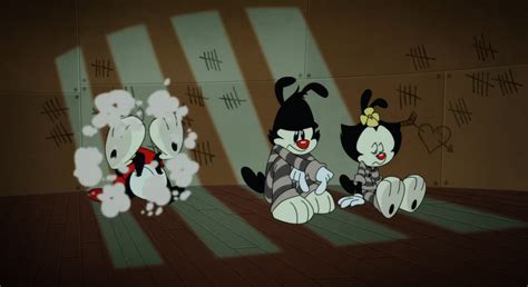 Animaniacs Shota Briefs