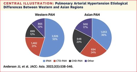 Pulmonary Arterial Hypertension Pathophysiology
