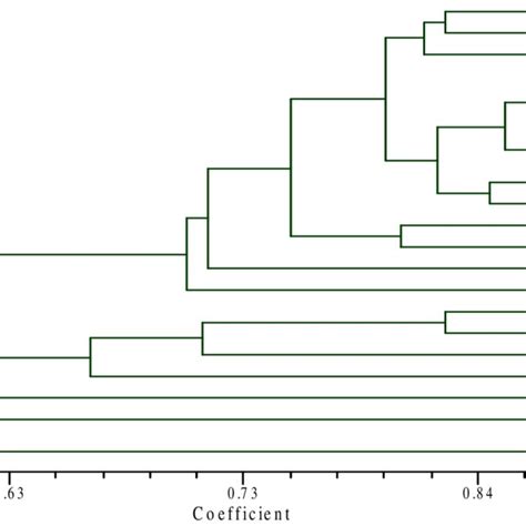 Rapd Based Dendrogram Of R Solani Isolates Constructed Using Unpair