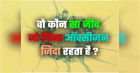 Trending Quiz Gk Which Creature Can Live Without Oxygen Gk Quiz बिना