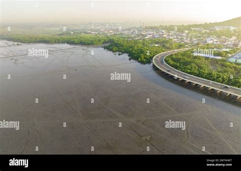 Aerial View Of Mudflat Mangrove Forest And Sustainable City And Green Mangrove Forest