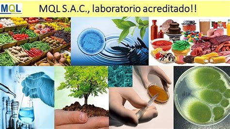 Management Of Quality Assurance And Services Laboratoriesmql On Linkedin Mql Sac