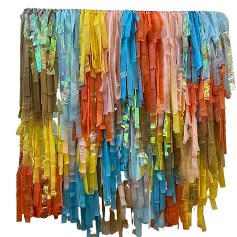 Plastic Streamer Fringe Wall Backdrop One Piece Agrohortipbacid