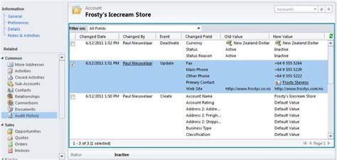 Enabling Auditing In Dynamics Crm 2011 Magnetism Solutions Nz