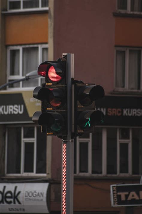 가면을 쓴 보행자 개 개 산책 거리 사진 거리 장면 건너는 건물 건축 걷고 있는 고층 고층 건물 교차로 교통 신호 대도시 도로 도시 경관 도시