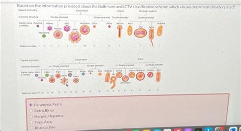 Based On The Information Provided About The Baltimore