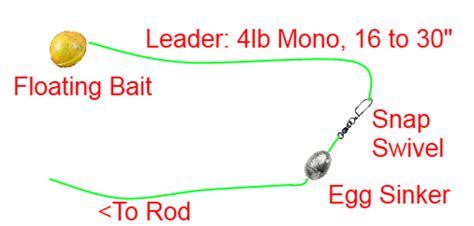 A Complete Guide To Trout Fishing Gear Tips And More SkyAboveUs