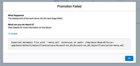 Promotion Failed Due To Customobjecttranslation Insufficient Access