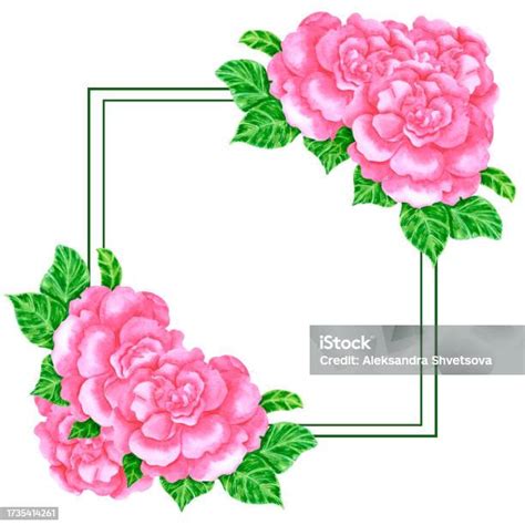 손으로 그린 수채화 분홍색 진달래 프레임 테두리가 흰색 배경에 분리되어 있다 초대장 엽서 포스터 장식 및 기타 인쇄물에 사용할