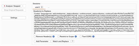 Testing Authorization With Auth Analyzer In Burp Suite Dev Community