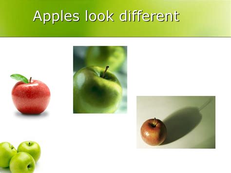 Ppt All About Apples Powerpoint Presentation Free Download Id4751477