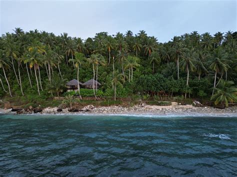 Kaini Mentawai Updated 2025 Prices Reviews And Photos