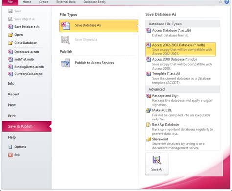 8 Best Mdb To Accdb Conversion Tools 2024
