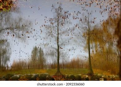 5 135 Reverse Tree Images Stock Photos Vectors Shutterstock