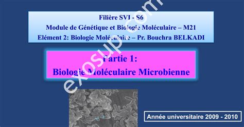 Cours Biologie Moléculaire Microbienne Svi S5 Fsr Cours Et Tds